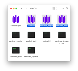 SentinelOne FAQ: Common Questions - Tech Minded